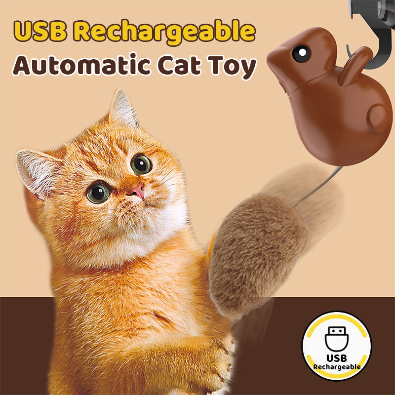 USB Rechargeable Automatic Cat Toy – furanshop